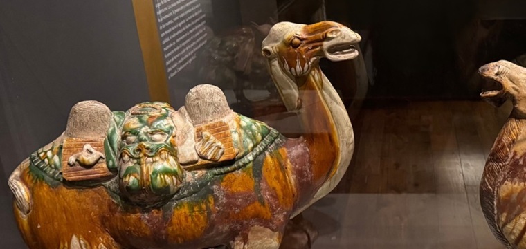 SDMA | San Diego Museum of Art